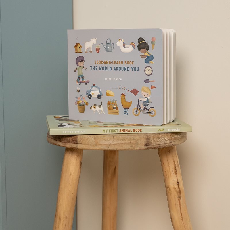 Children's book Look-and-learn book - the world around you – My ...